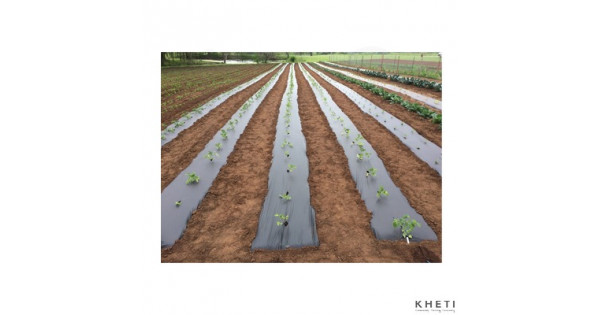 NTS Mulching Plastic ( 13-13.5KG)