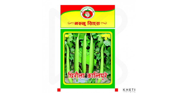 Sponge Gourd (Ghiraula)