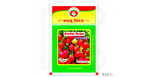Tomato seed (Srijana)