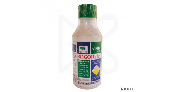 Rogorin