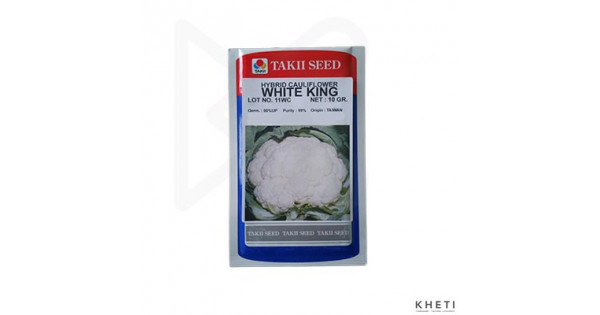 Hybrid Cauliflower White King Takii Seeds Vegetables, Fulkopi