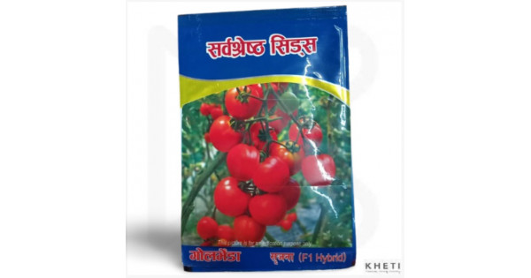 Tomato Srijana