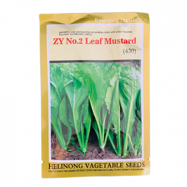 Chinese Mustard leaf (SumSume Saag)